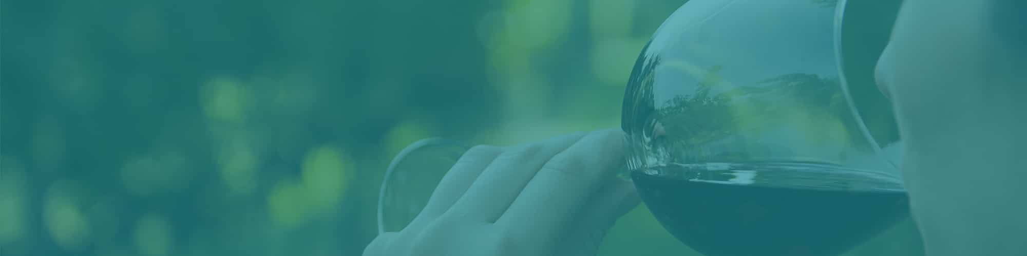 Wat alcohol doet met je lijf - en je hart | FibriCheck